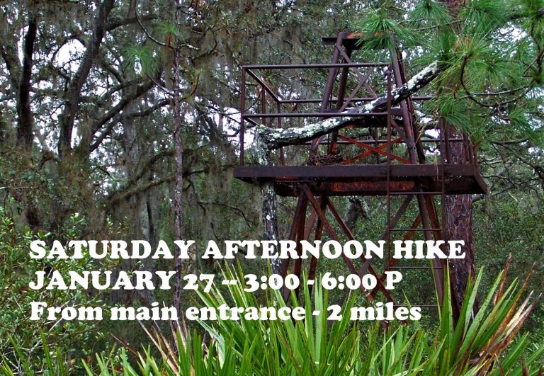 January Saturday Afternoon Hike - Friends of Split Oak Forest
