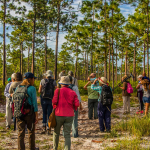 Home - Friends of Split Oak Forest